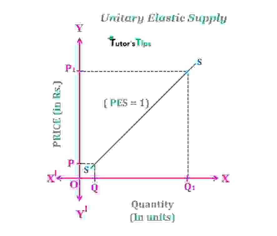The elasticity of Supply- Meaning, Types and Methods - Tutor's Tips