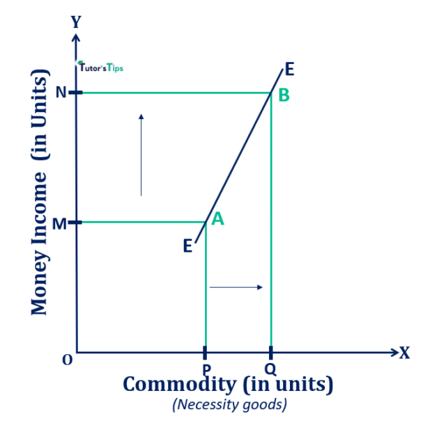 Engel Curve - Meaning and Explanation – Tutor's Tips