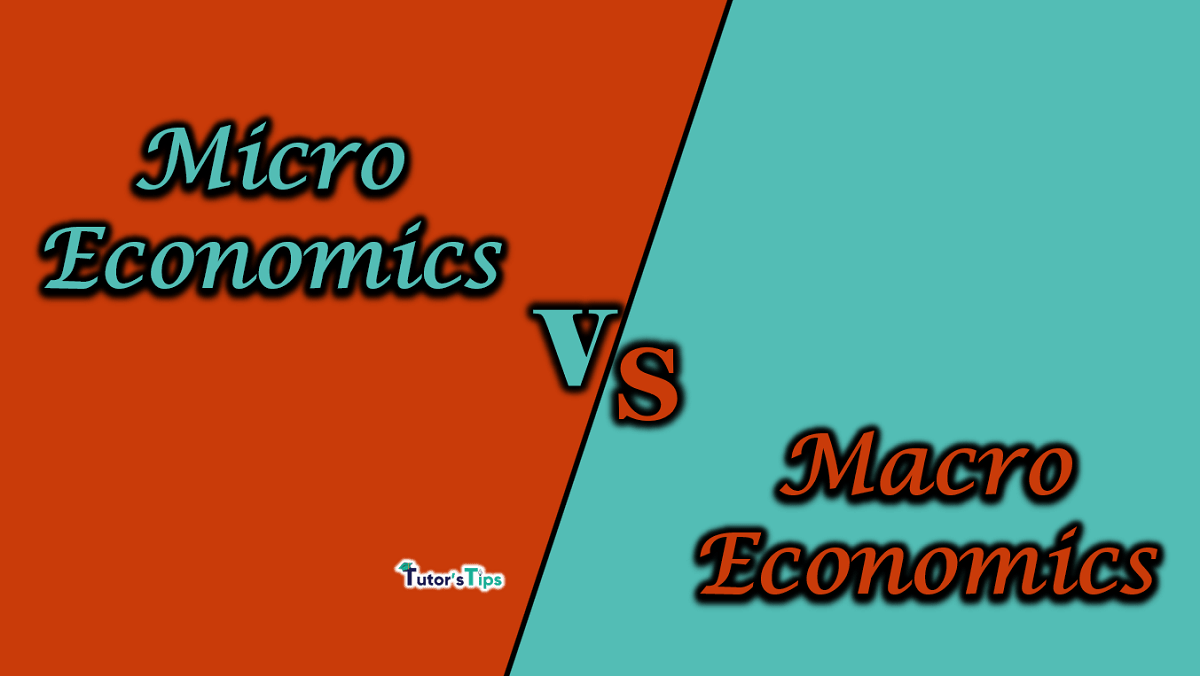 Difference Between Micro Economics And Macro Economics Tutor s Tips