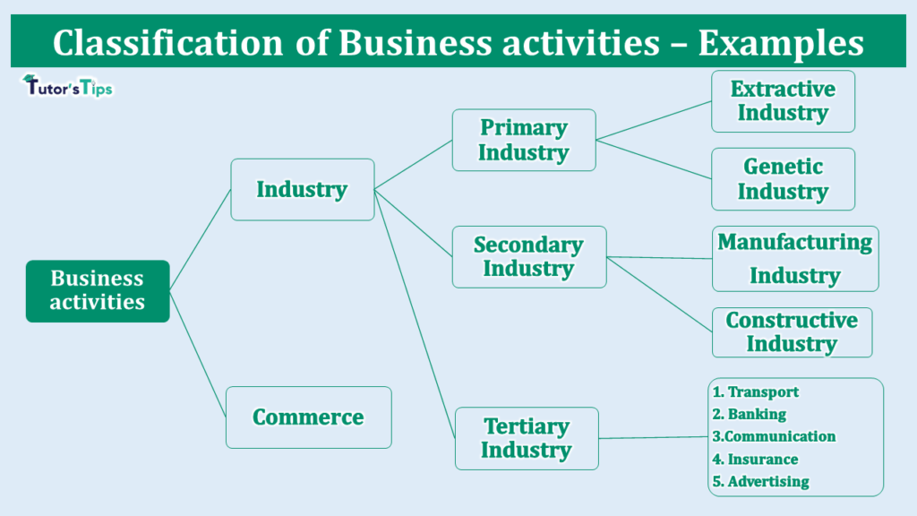 Classification of Business activities - Examples - Tutor's Tips